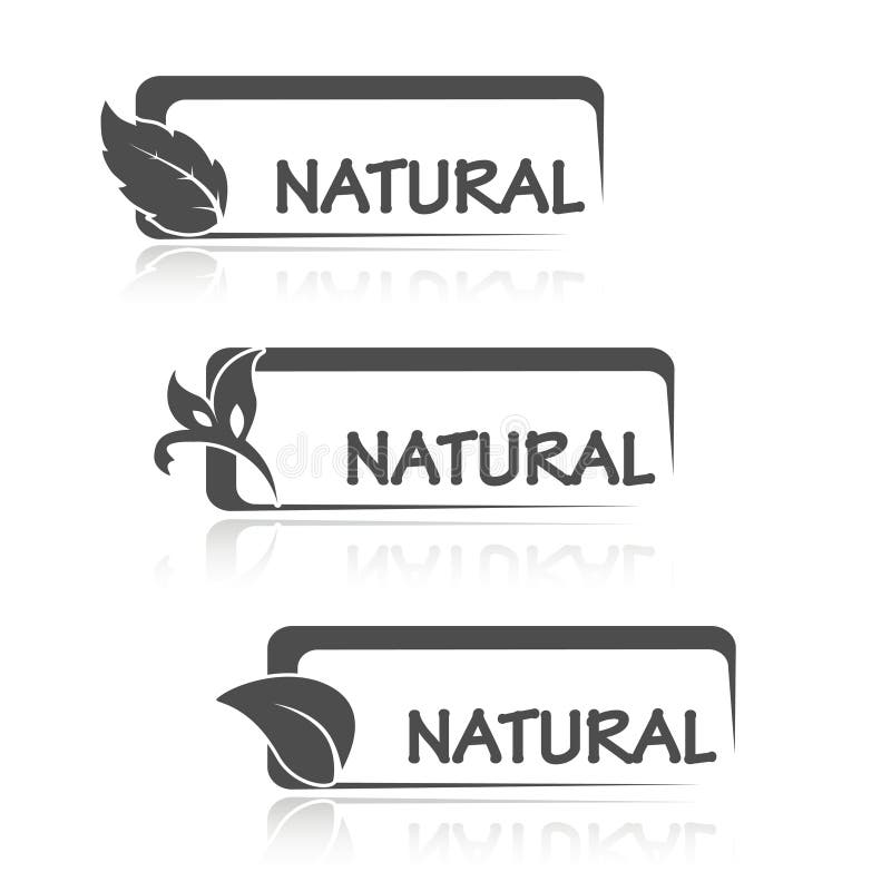 Nature Symbols with Leaf, Rectangle Natural Icons Stock Illustration ...