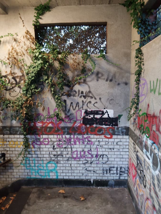 Nature Taking Back Building Stock Image - Image of building, back ...