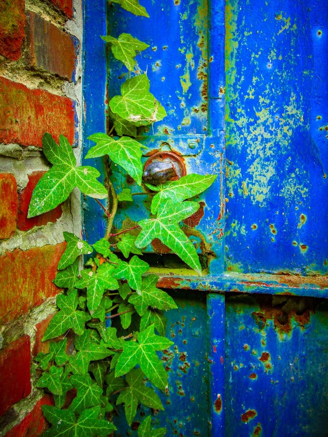 Nature taking over stock photo. Image of blue, perspective - 108232570
