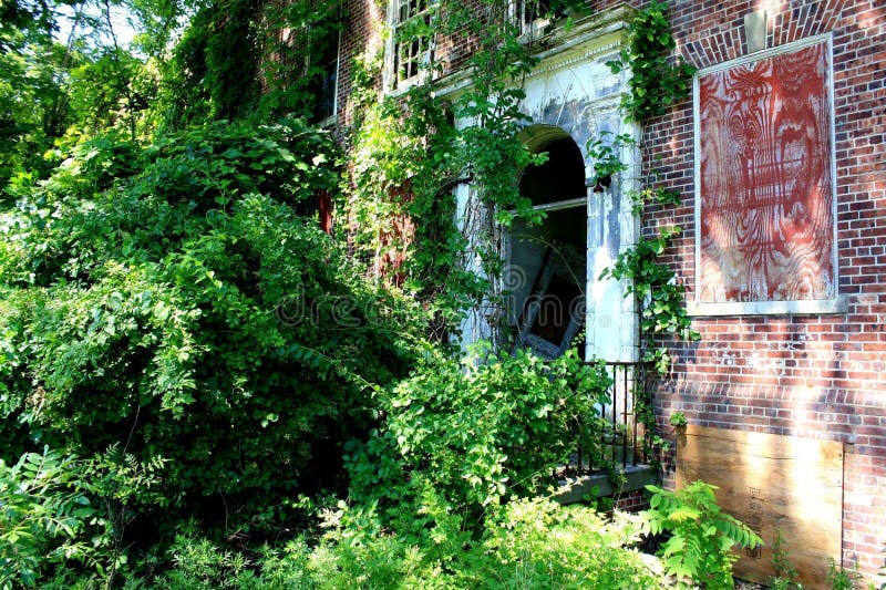 Nature taking over stock image. Image of nature, exploration - 85211295