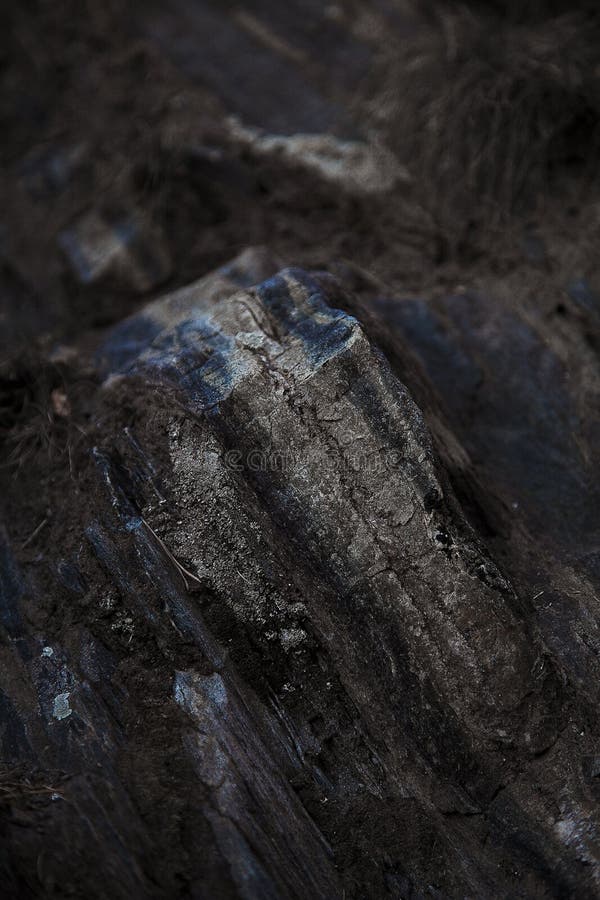 Nature textures stock image. Image of environment, beautiful - 94529373