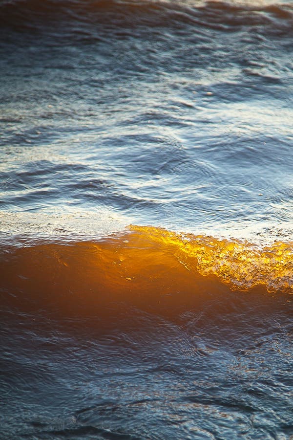 Nature textures stock image. Image of leaf, environment - 94529389