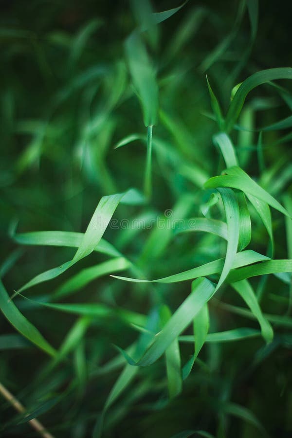 Nature textures stock image. Image of color, rock, beautiful - 94529395