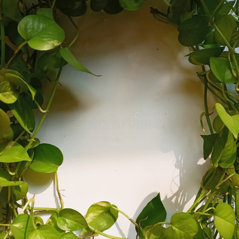 Nature Theme Product Photo Background Stock Image - Image of autumn ...