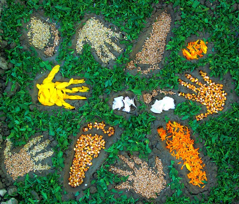 The nature trace... stock photo. Image of color, texture - 237452