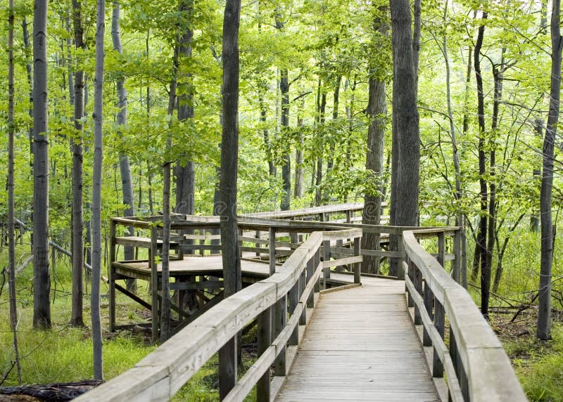 Nature trail stock photo. Image of linn, views, wildlife - 24616428