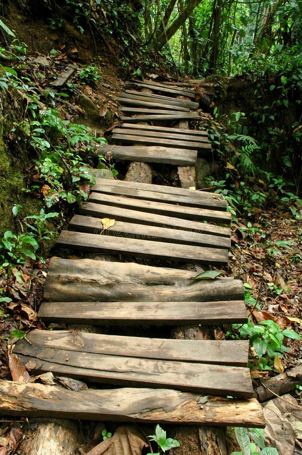 1+ Pong nam dang waterfall Free Stock Photos - StockFreeImages