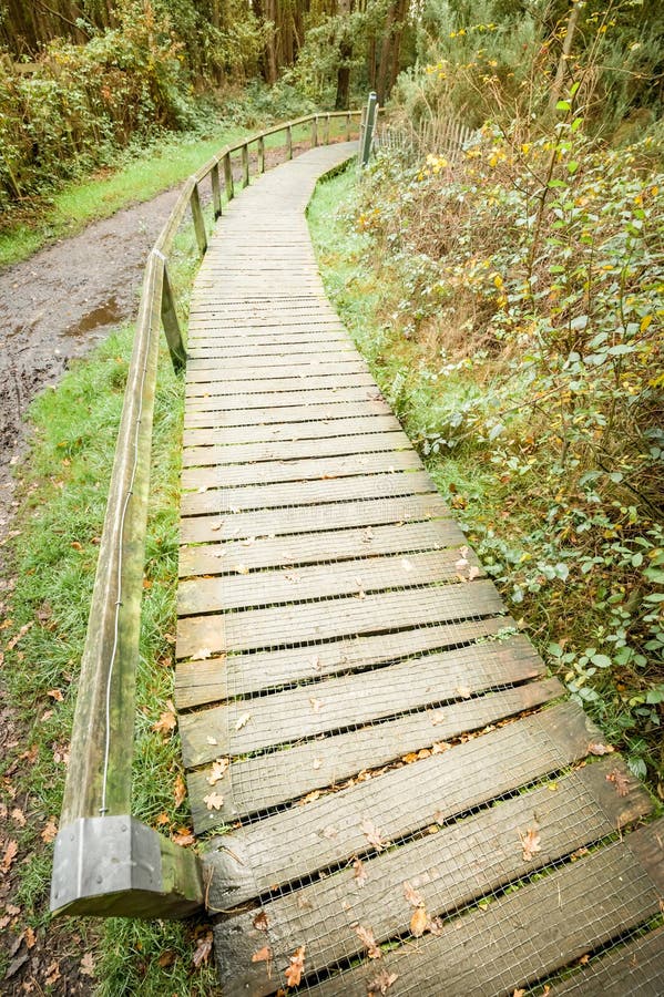 Nature trail stock photo. Image of trail, fall, woodland - 27384166