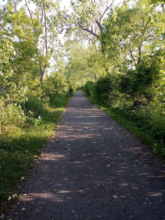 Nature Trail Hike Summer Green Leaf Stock Image - Image of green ...
