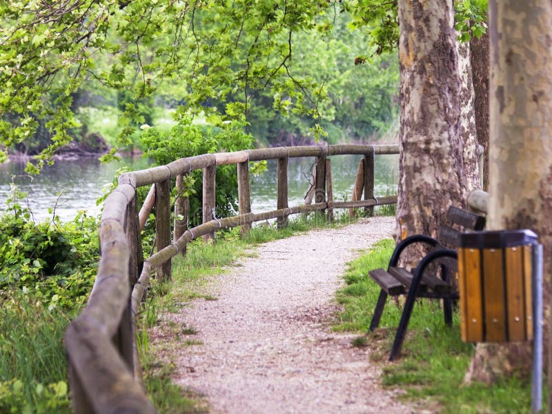 Nature Trail through Nature with Trees and Stream- Stock Image - Image ...