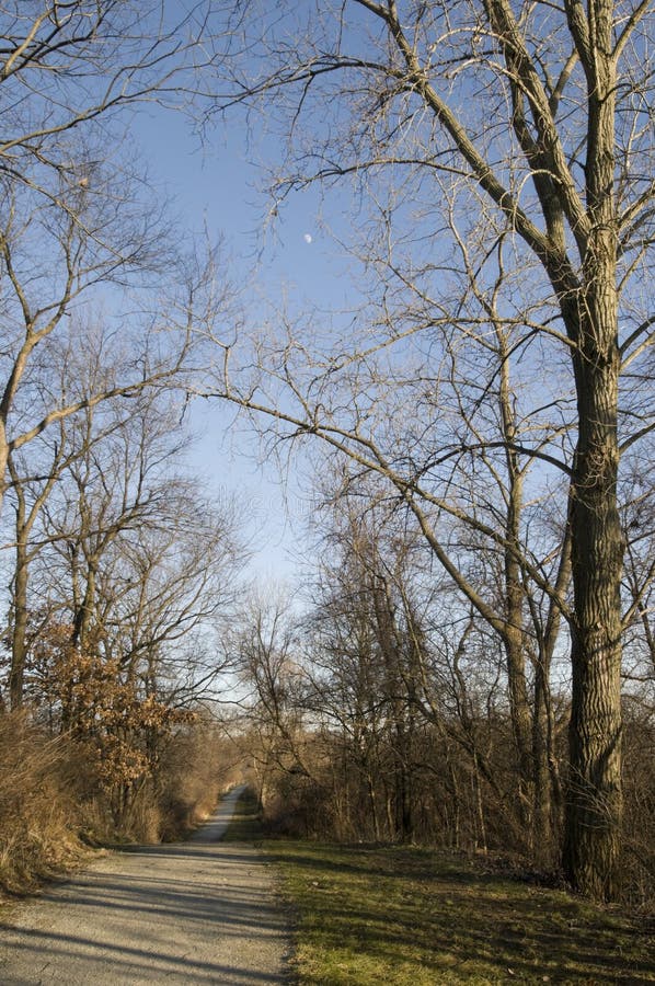 Nature trail with bench stock image. Image of scene, rest - 24481497