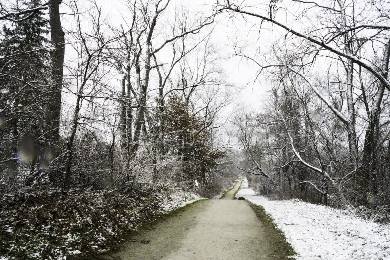 Nature Trail in Ohio stock image. Image of strees, snow - 49621437