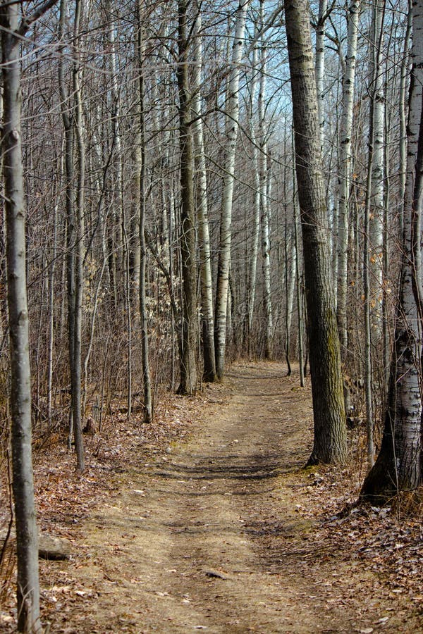 Nature trail in the park stock image. Image of park, pathway - 27220969