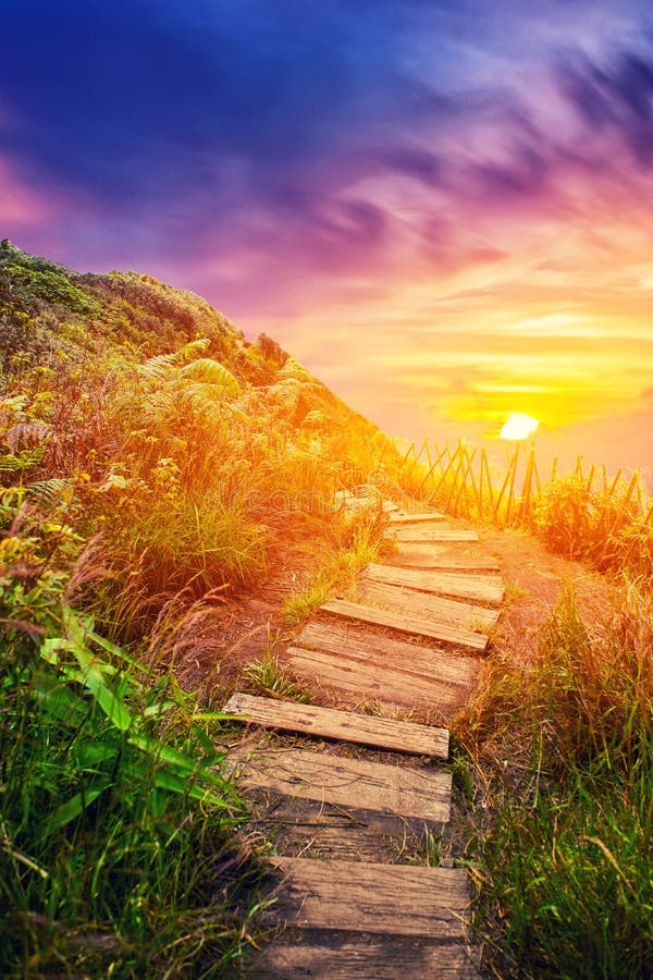 A Detail of and Close Up Nature Trail Walk Way Stock Image - Image of ...