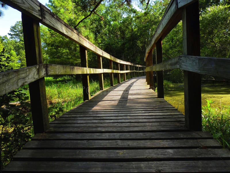 A nature trail walkway stock image. Image of determined - 32256155