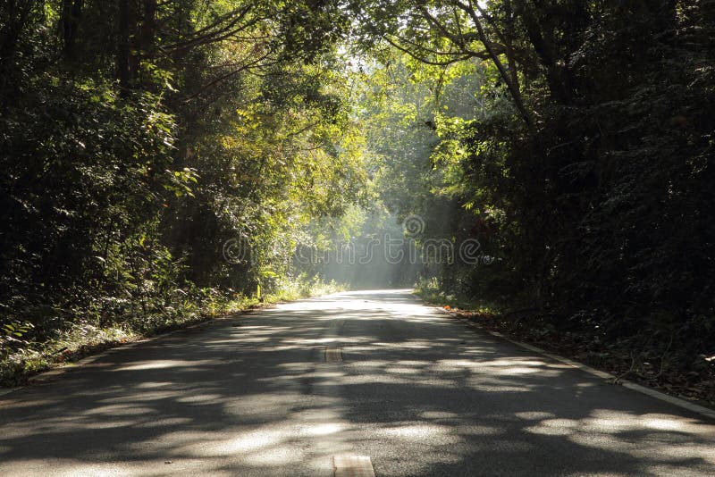 Nature trails stock image. Image of light, peaceful, sunshine - 72817791