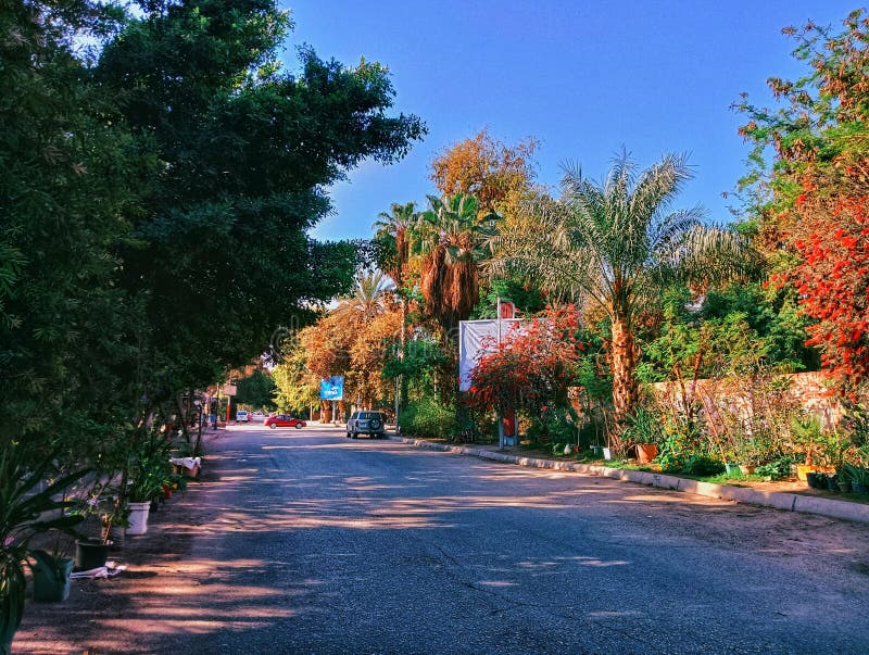 Maadi in Cairo in Egypt stock photo. Image of suburb - 372722020