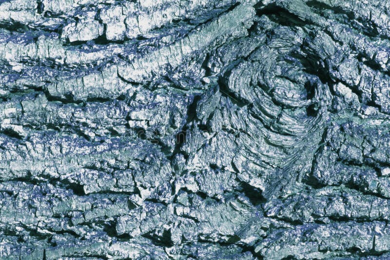 Nature Tree Bark Color Pattern Background Wall Picture Stock Image ...