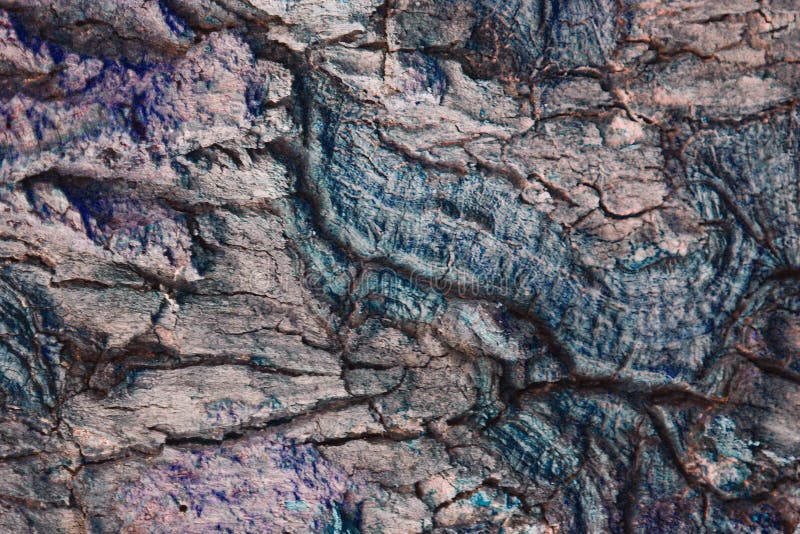 Nature Tree Bark Color Pattern Background Wall Picture Stock Photo ...
