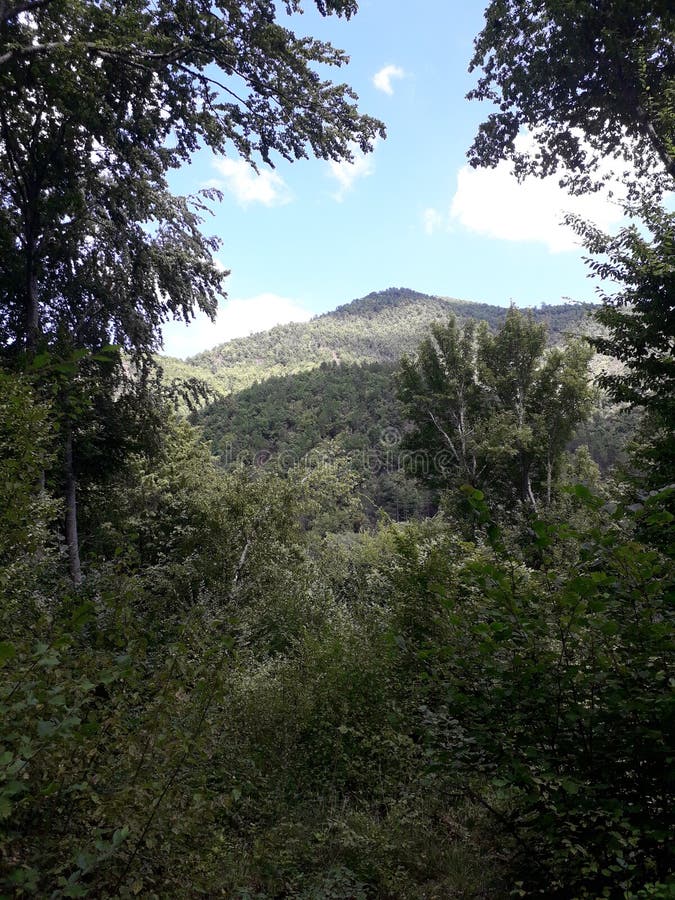 Nature Tree Mountain Landscape Sky Stock Photo - Image of nature, tree ...