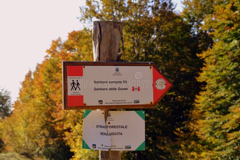 Nature, Tree, Signage, Sign Picture. Image: 113063051