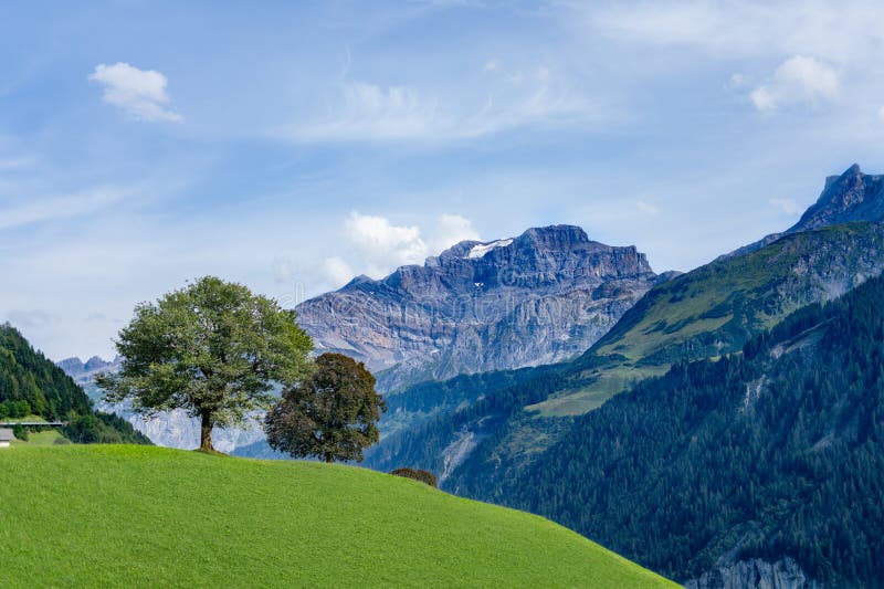 Nature, Tree on Top of a Hill. Steep Mountain Cliffs Summit with Snow ...