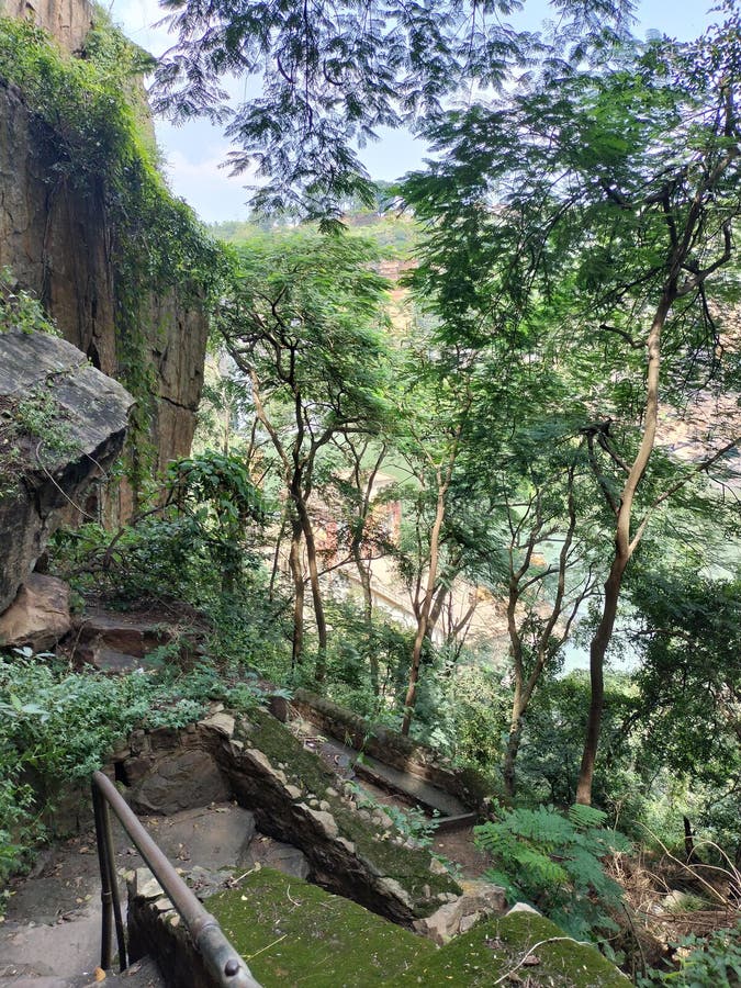Nature, Tree, Valley, Terrain, Rock Stock Image - Image of geology ...