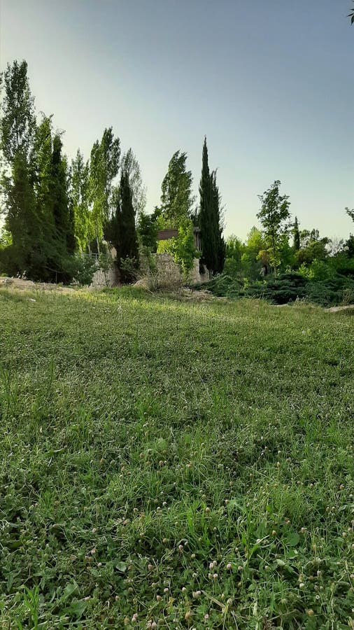 Nature stock photo. Image of nature, levant, jordan - 153246200