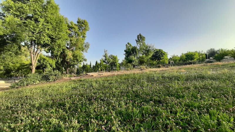 Nature stock photo. Image of nature, park, jordan, levant - 153246226