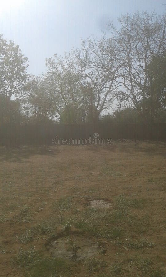 Nature stock photo. Image of ground, village, nature - 115800660