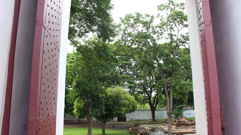 Nature between two doors stock photo. Image of grass - 78021704