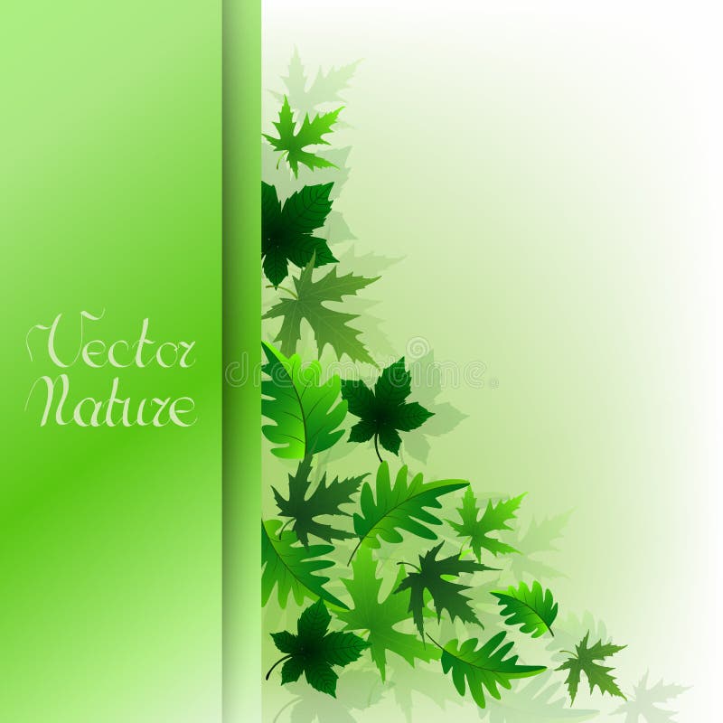 Nature Vector Banner with Fresh Green Leaves. Spring or Summer Nature ...