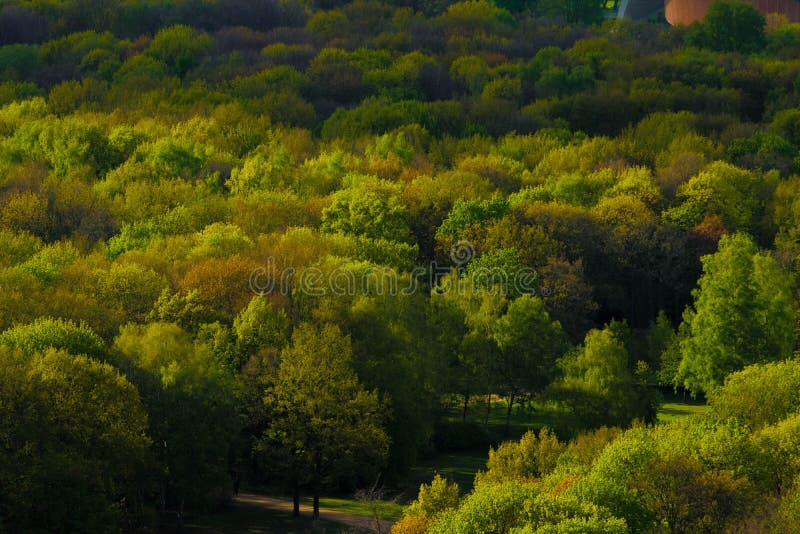 Nature, Vegetation, Ecosystem, Leaf Picture. Image: 135105832