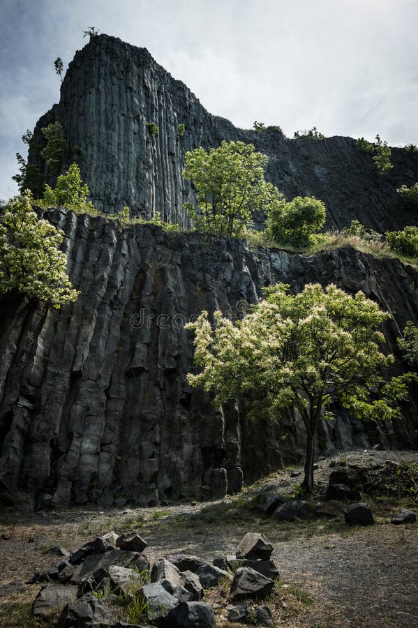 Nature, Vegetation, Tree, Rock Picture. Image: 135689296