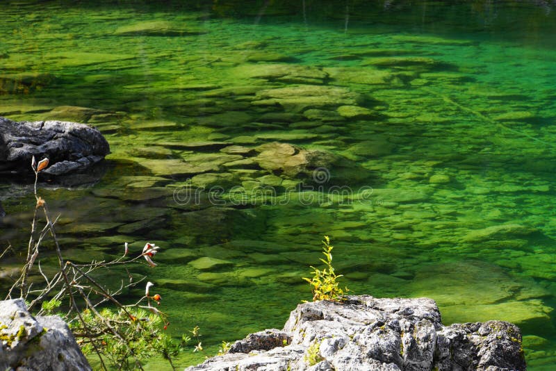 Nature, Vegetation, Water, Reflection Stock Image - Image of stream ...