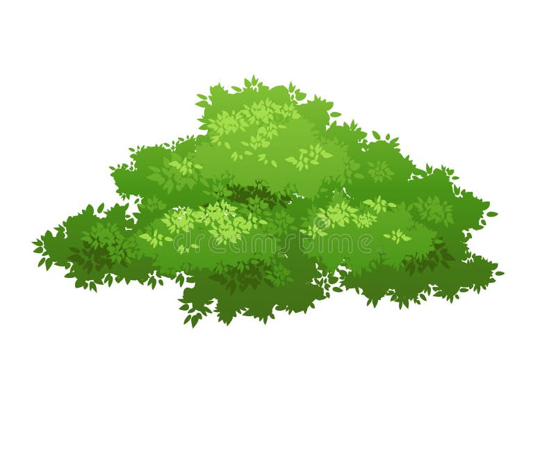 Buisson Stock Illustrations, Vecteurs, & Clipart – (211,581 Stock ...