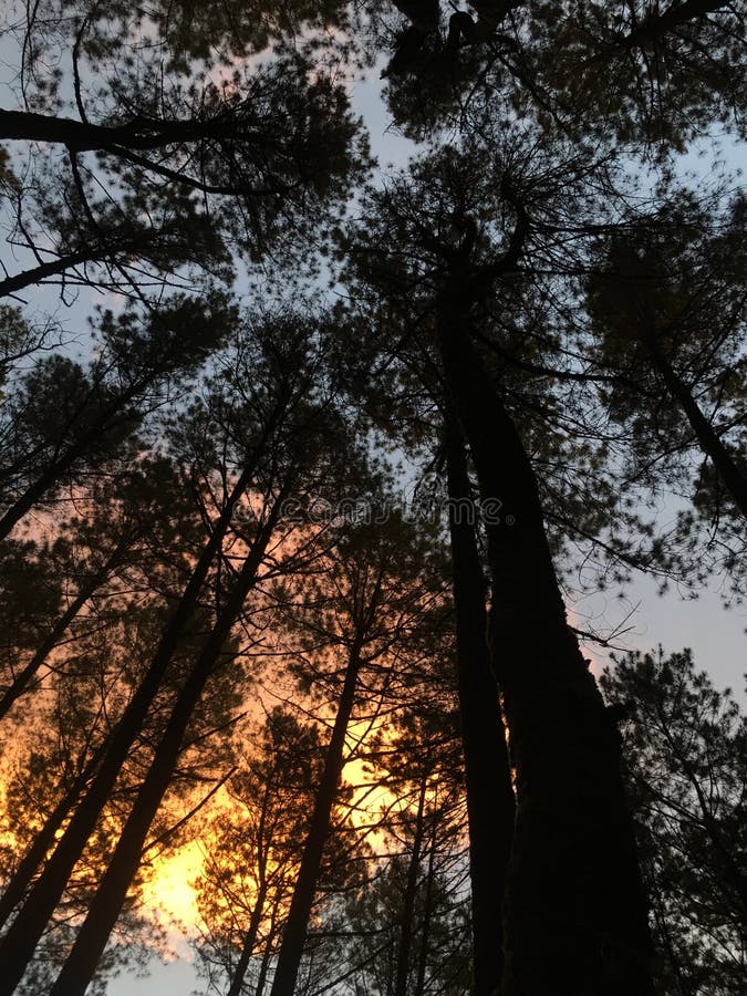 Nature View at Lembanna, Indonesia Stock Image - Image of view ...
