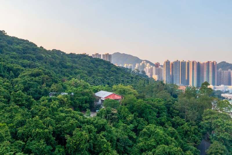 The Nature View of Mau Wu Shan, Hk Stock Image - Image of field ...