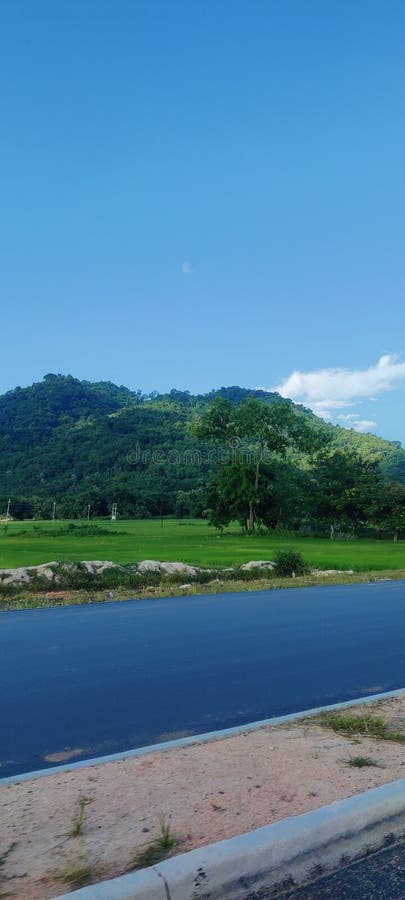 Nature View of Nagaon Assam Stock Image - Image of nature, green: 255735403