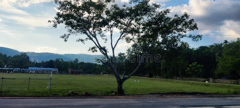 Nature View of Nagaon Assam Stock Photo - Image of nature, green: 255735502