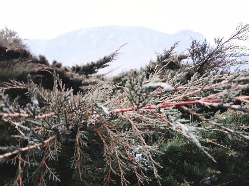 Nature View Show Mountain Pace Stock Image - Image of mountain, nature ...