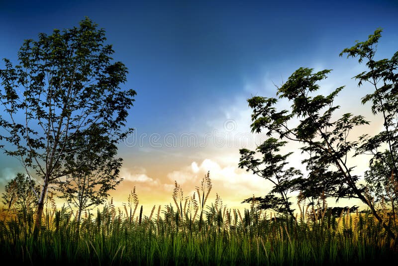 Nature View Sunset Background Stock Image - Image of beautiful, park ...