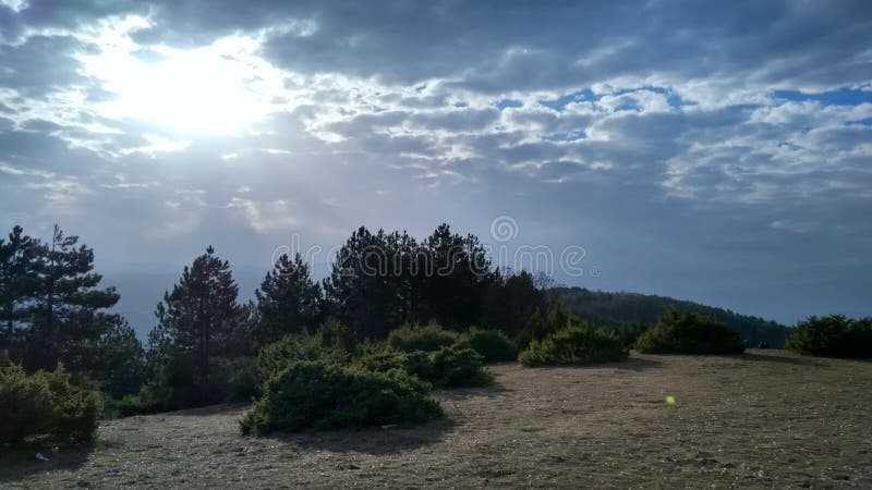 Nature stock photo. Image of forest, view, landscape - 71098466