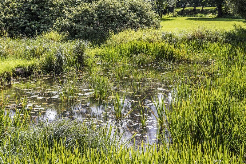 401 Water Storage Facilities Photos - Free & Royalty-Free Stock Photos ...