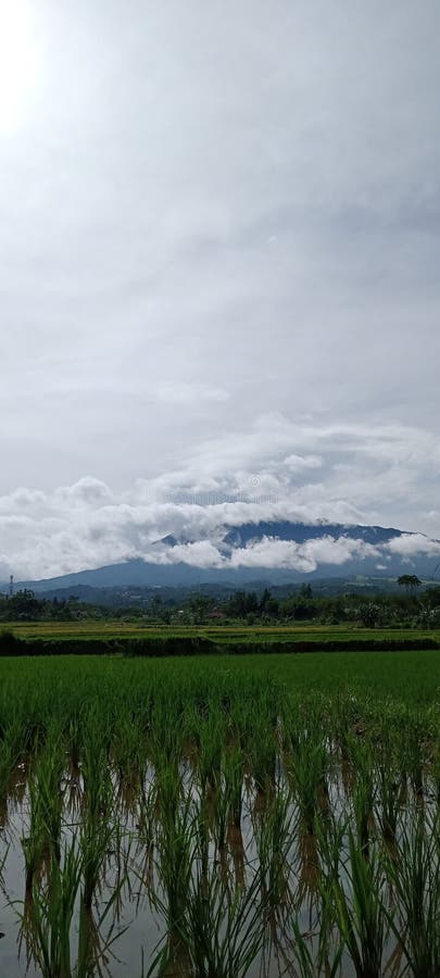 Nature in the Village with a Bad Cloud but Still Look Good Stock Image ...
