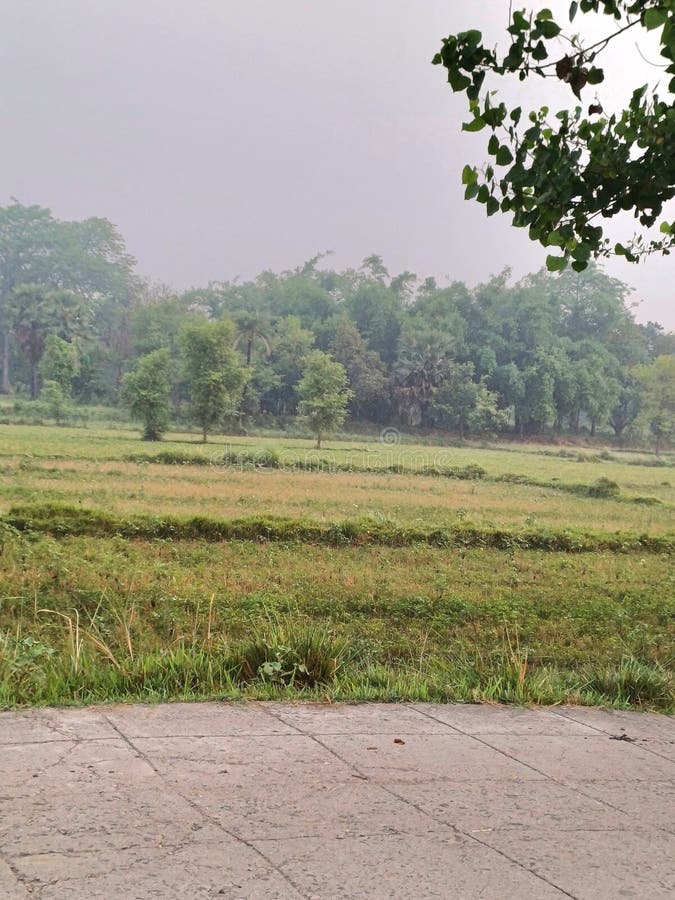 Nature in Village Life is Beautiful and Nature is Very Beautiful Stock ...