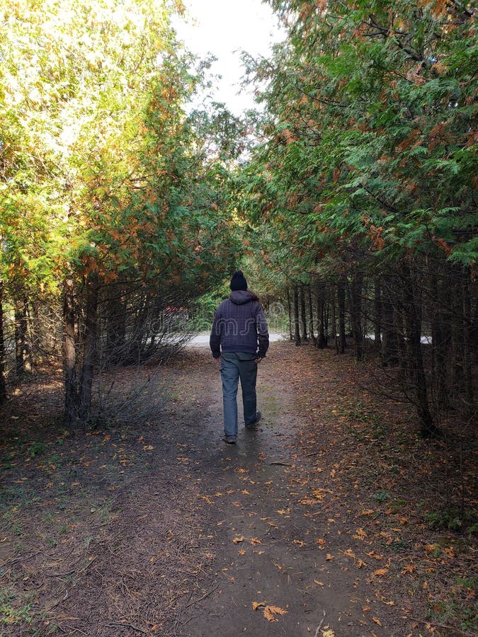 Nature walk stock image. Image of light, nature, fall - 129132855