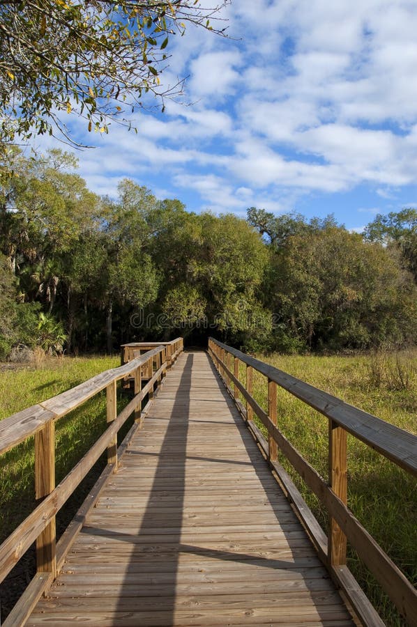 Nature walk stock image. Image of foot, footprint, step - 8436665