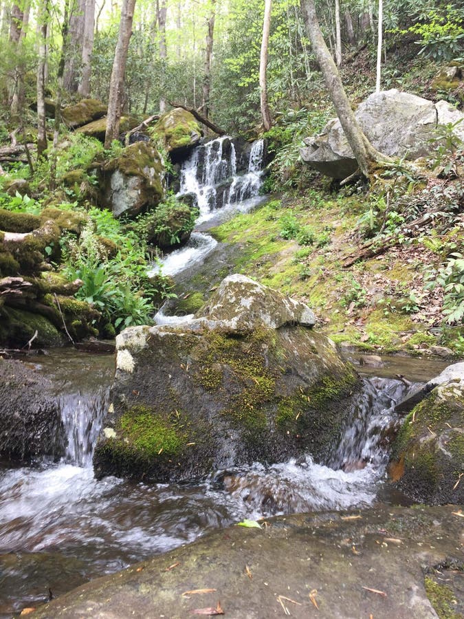 Bubbling Stream stock photo. Image of creek, stream, meditation - 70711210