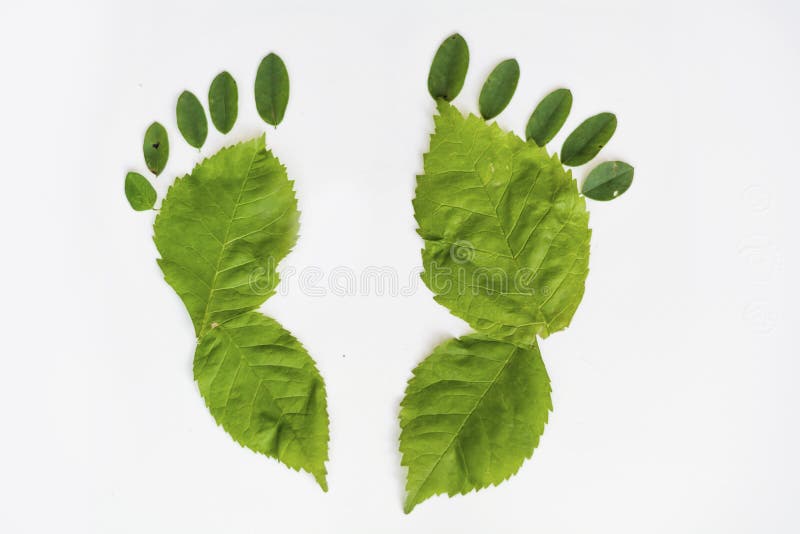Green foot print stock vector. Illustration of foot, hics - 17765402
